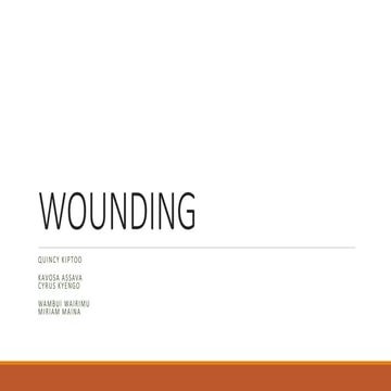 The Offence of Wounding | PPTX