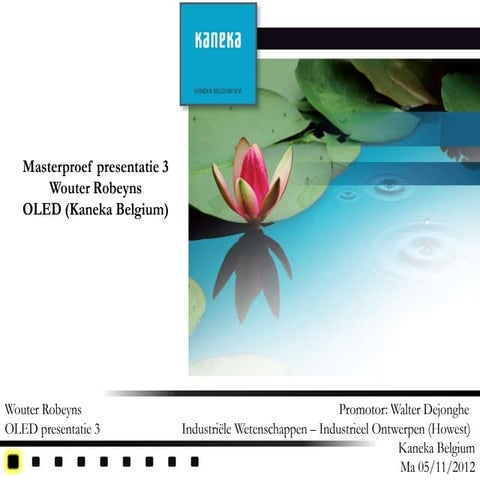 Wouter robeyns masterproef_presentatie3 | PPT