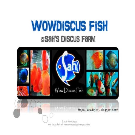 Wow Discus Profile | PDF | Agriculture | Industries