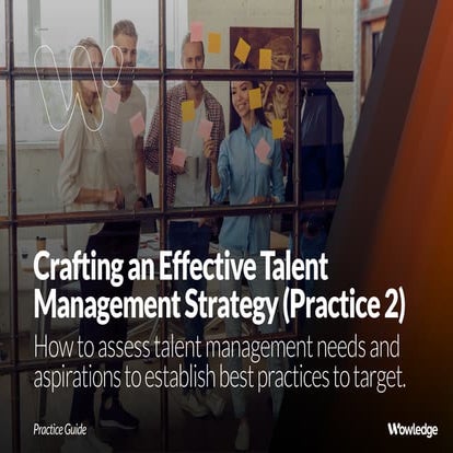 Effective Talent Management Strategy: Adapting Practices and Plans | PDF