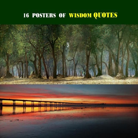 16 Posters Of Wisdom Quotes | PPT