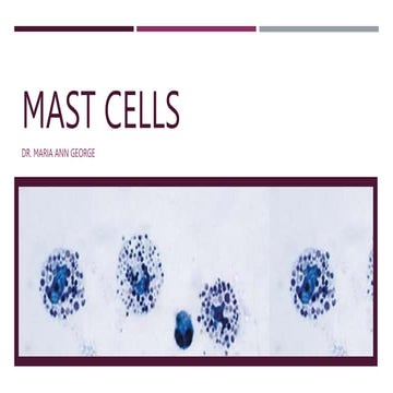 Mast_cells.pptx