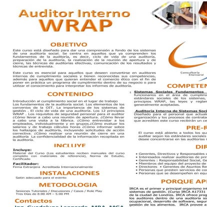AUDITOR INTERNO WRAP | PDF
