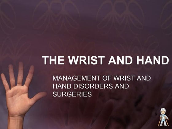 The Hand Anatomy Part 1 | PPT