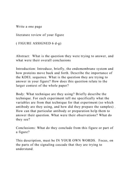 Write a one-paragraph summary of one of the reading assignments from.docx