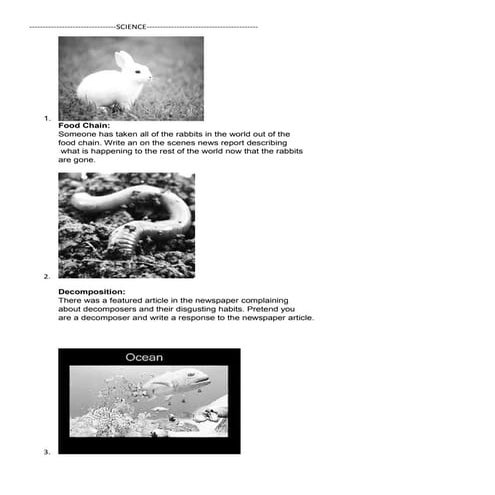 Science Writing Prompts 8th | PDF