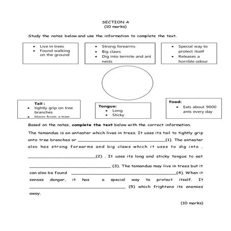Writing year 6 | DOCX