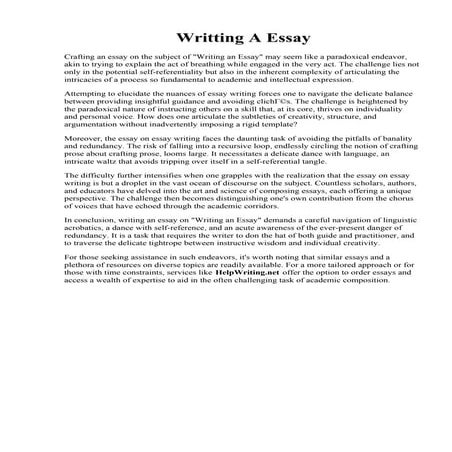 Writting A Essay | PDF