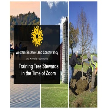 Tree Stewards Training in the Time of Zoom | PPTX