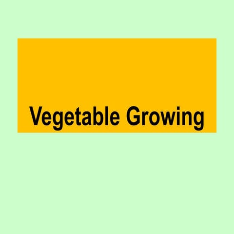 vegetable growing idea powerpoint presentation.pptx