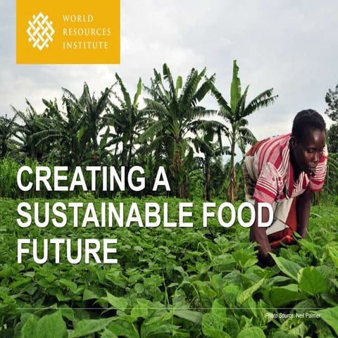 Reducing Food Loss and Waste: Creating a Sustainable Food Future ...