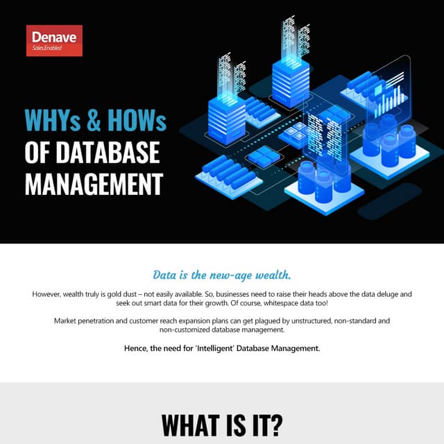 Ws and Hs of Database Management for Businesses | PDF