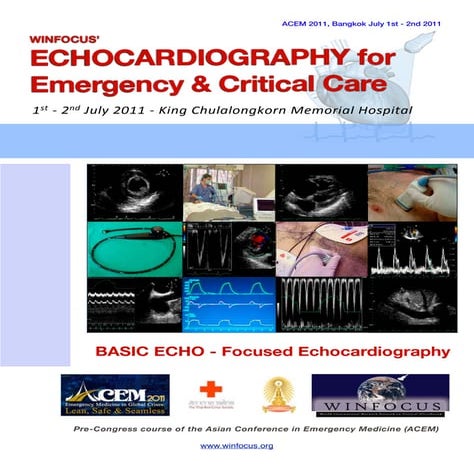 Ws5 echo | PDF | Heart and Cardiovascular Diseases | Diseases and ...