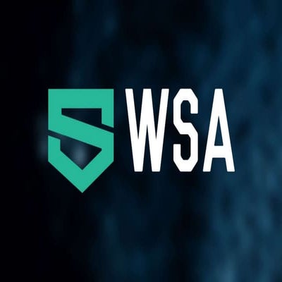 WSA Partners | PPTX