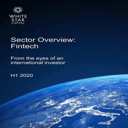 Explore the 2020 Fintech Sector | PDF