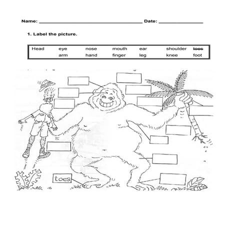 Label the gorilla | PDF