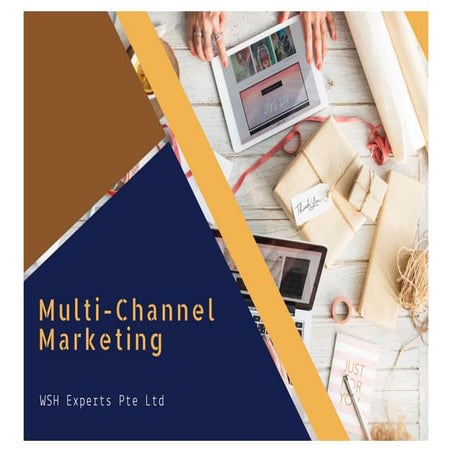 Wsh experts multi channel marketing | PPT