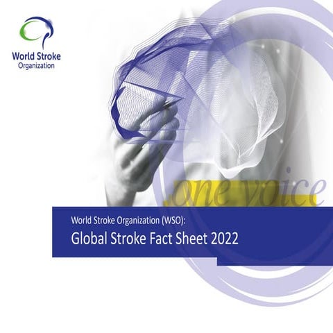 WSO_Global_Stroke_Fact_Sheet.pdf Stroke globally and its effects on individuals worldwide | PDF