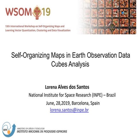 Self-organzing maps in Earth Observation Data Cube Analysis | PPTX