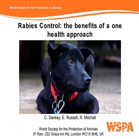 Rabies control: the benefits of a one health approach | PPT