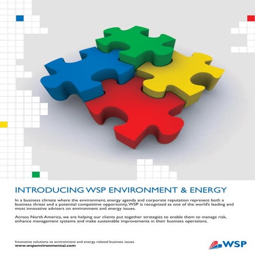 WSP Environment and Energy | PDF