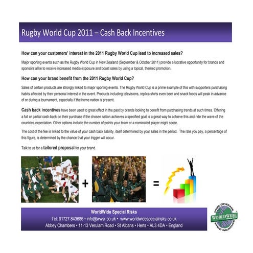 Rugby World Cup - Promotional Concepts | PDF