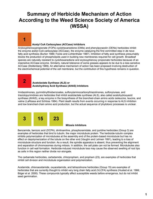 ACG-128-MOA-Acetogenins-Bullatacin-Cortes-ES-1994 | PDF