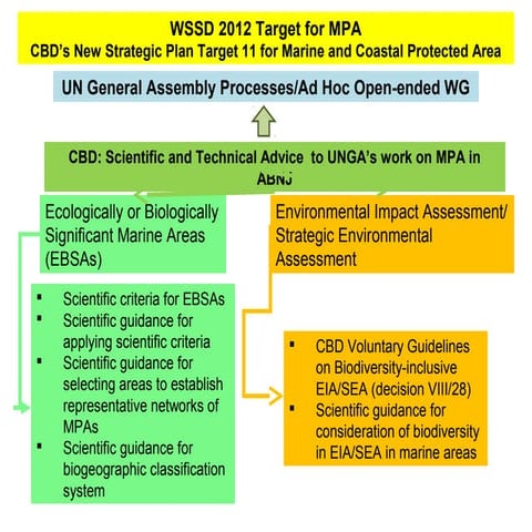 WSSD 2012 Target for MPA CBD’s New Strategic Plan Target 11 for Marine and Coastal Protected ...