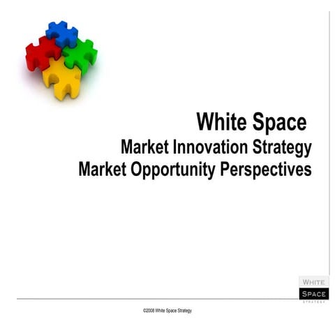White Space Strategy Market Oppportunty Perspectives | PPT