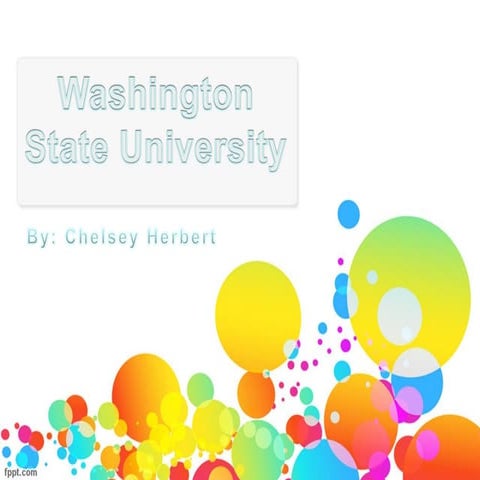 Wsu powerpoint | PDF