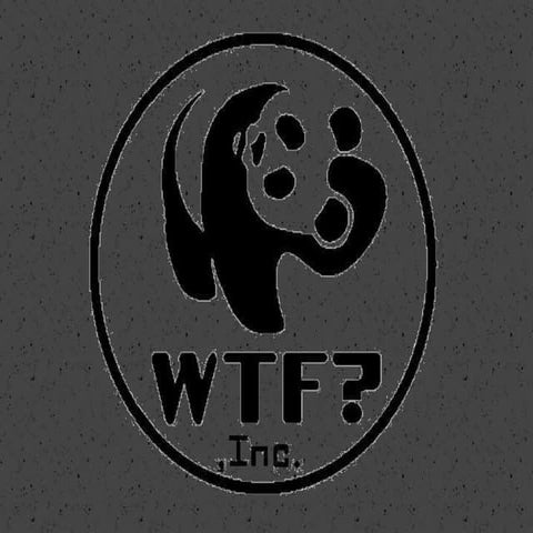 WTF?, Inc. | PPTX