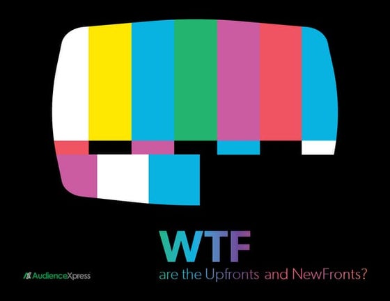 Targeted TV Advertising Landscape | PPT