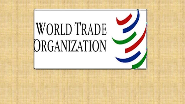 world trade organisation | PPTX