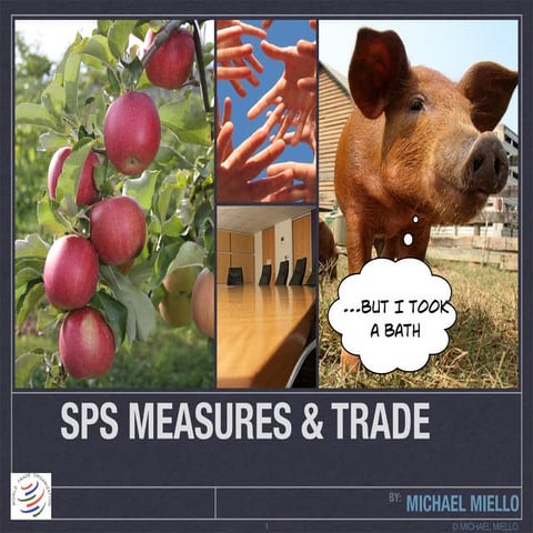 WTO SPS Measures | PDF