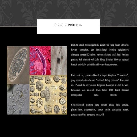 pelajaran bilogi CIRI-CIRI PROTISTA.pptx