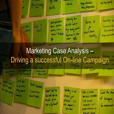 Media Optimization Model Pdf