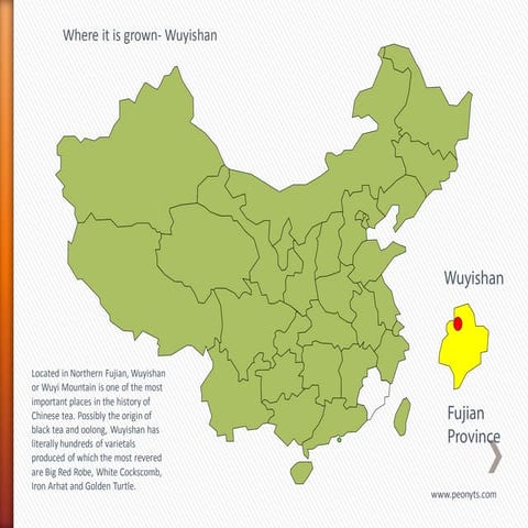 Wuyishan | PDF