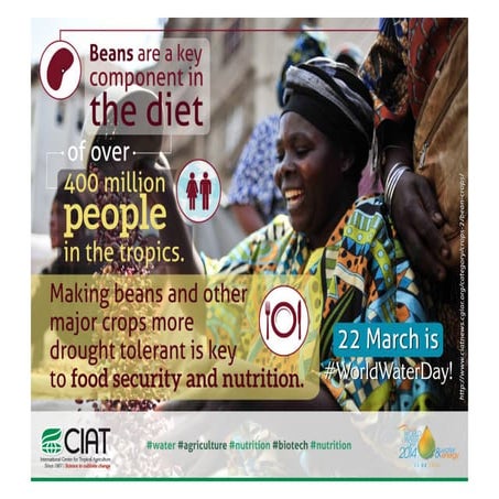 World Water Day 2014 - Drought tolerant beans for food security and ...