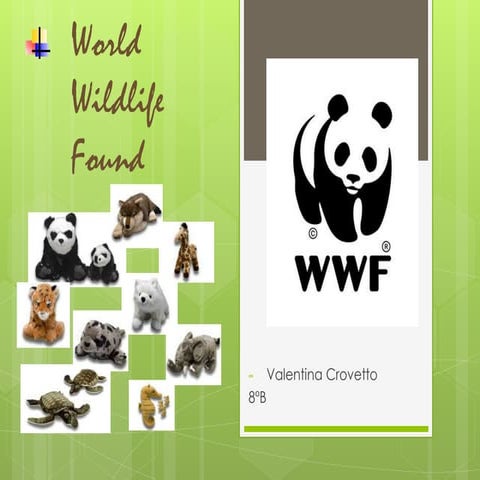 Wwf | PPTX