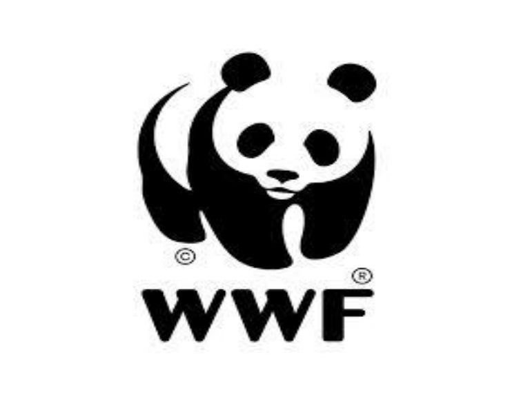 Wwf