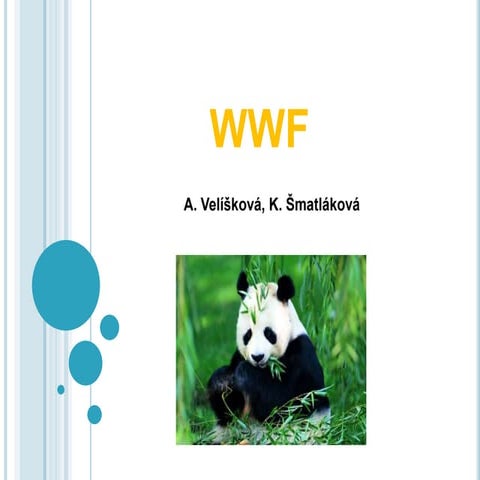 World wildlife fund (wwf) | PPTX