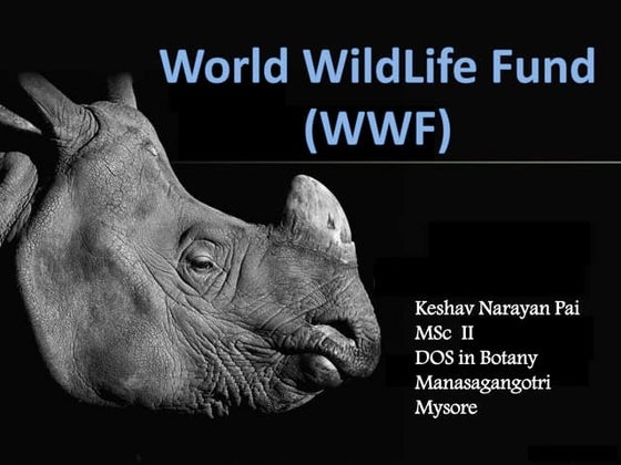 A Sociedade no Século XIX | PPT