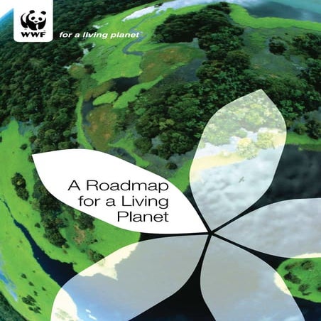 Wwf strategic plan | PDF
