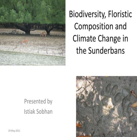 Biodiversity, Floristic Composition and Climate Change in the ...