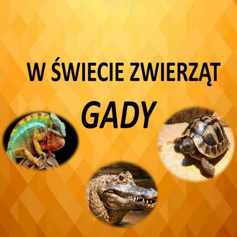 W świecie zwierząt - Duże Gady, Małe Gady | PDF