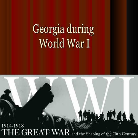 Causes/ Georgia's Contributions to WWI | PPTX