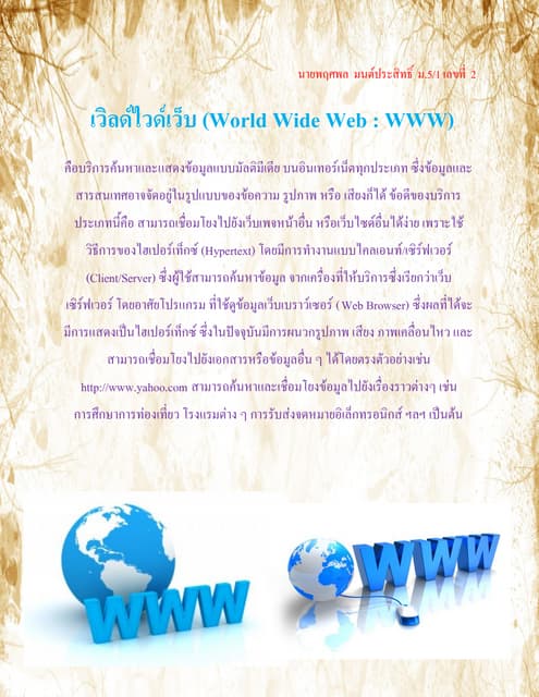World wide web | PDF