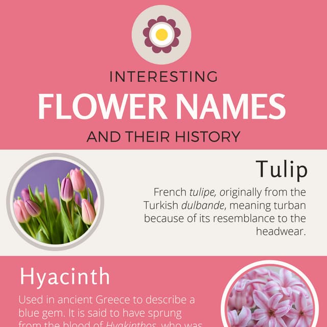 Interesting Flower Names and Their History | PDF
