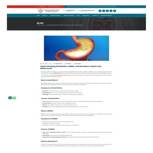 Understanding Acid Reflux, GERD, and Heartburn: What’s the Difference? | PDF