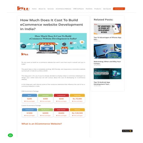 How Much Does It Cost To Build eCommerce website Development in India? | PDF